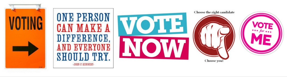 How to Run a Successful Election Campaign