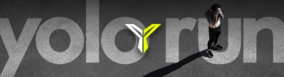 YOLO Run 2016