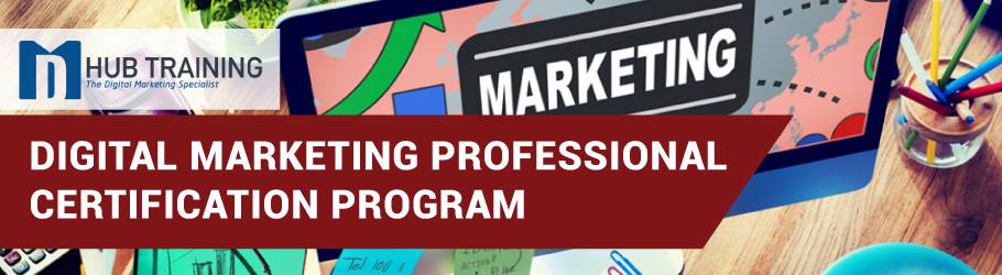 Digital Marketing Professional Certification Program