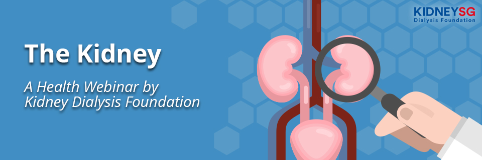 The Kidney: A Health Webinar by Kidney Dialysis Foundation